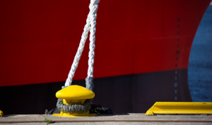 Flag state inspection - Survey Plan And Consultancy